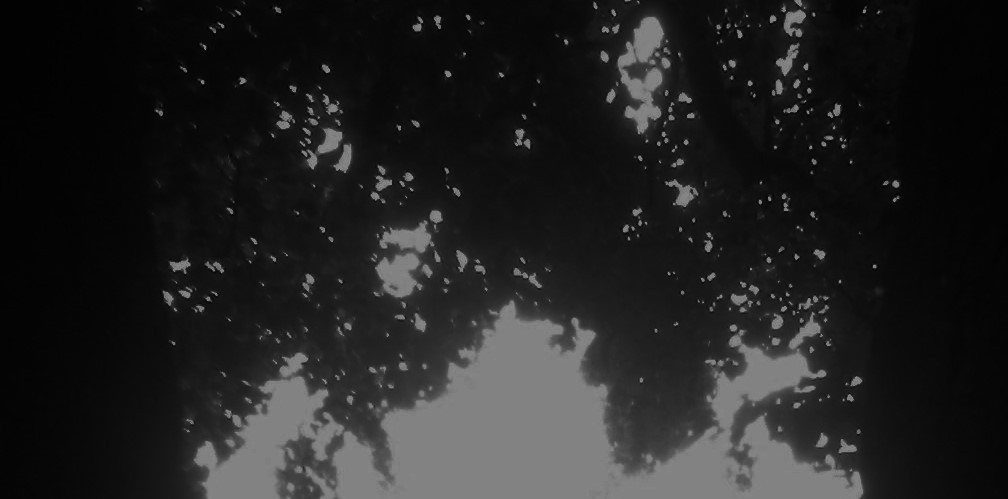 The world is different today – Fear of the reaper